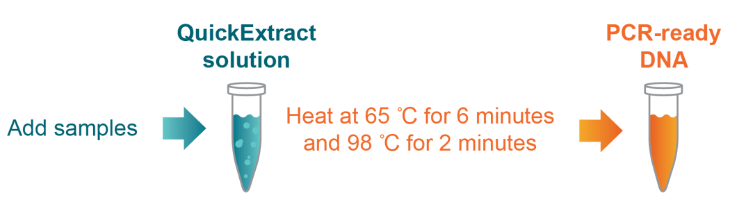 QuickExtract™ extraction solution for simple, rapid extraction of PCR ...