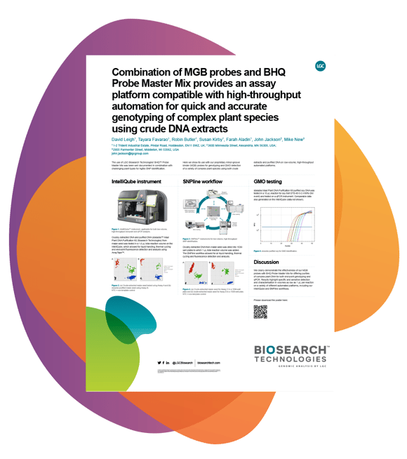 MGB probes for genotyping complex plant species