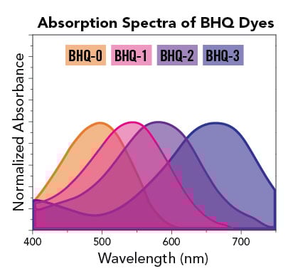 Know Your Oligo Mod: BHQ® (Black Hole Quencher®) Dyes